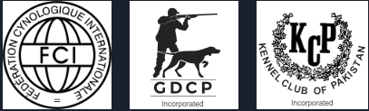 GDCP Gallery – GDCP Picture Gallery